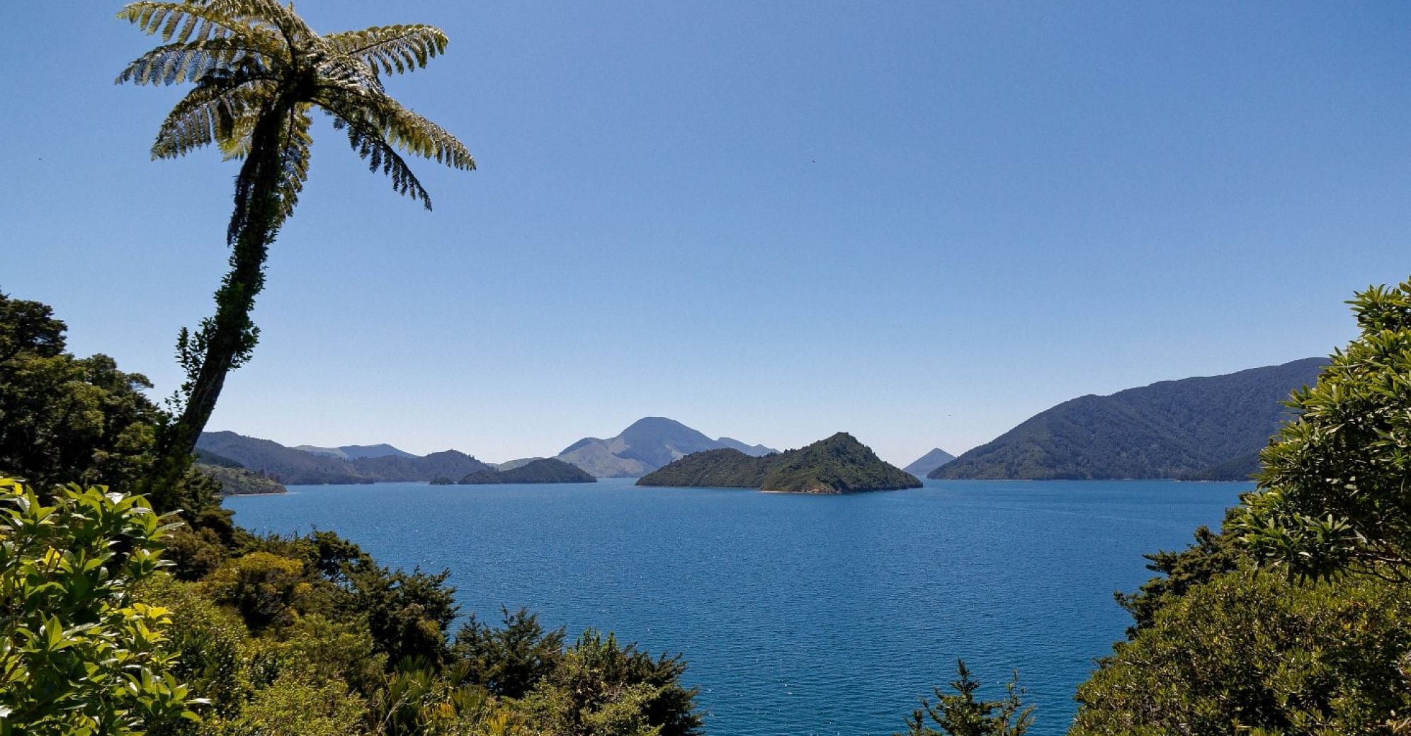 Marlborough Sounds: Von Bucht zu Bucht im Tennyson Inlet // Neuseeland ...